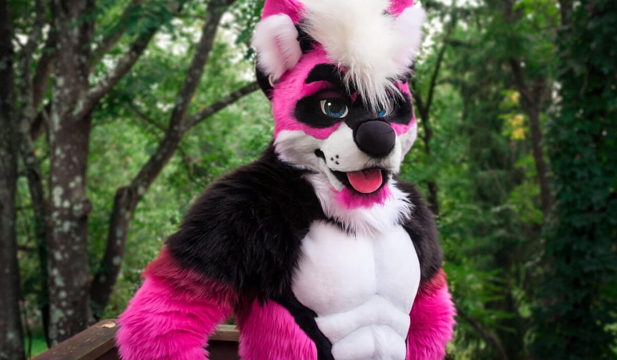 What are Furry Costumes? What are Furries About? - Xivents