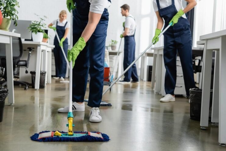 Spotless Spaces: Your Guide to Professional Part-Time House Cleaners ...